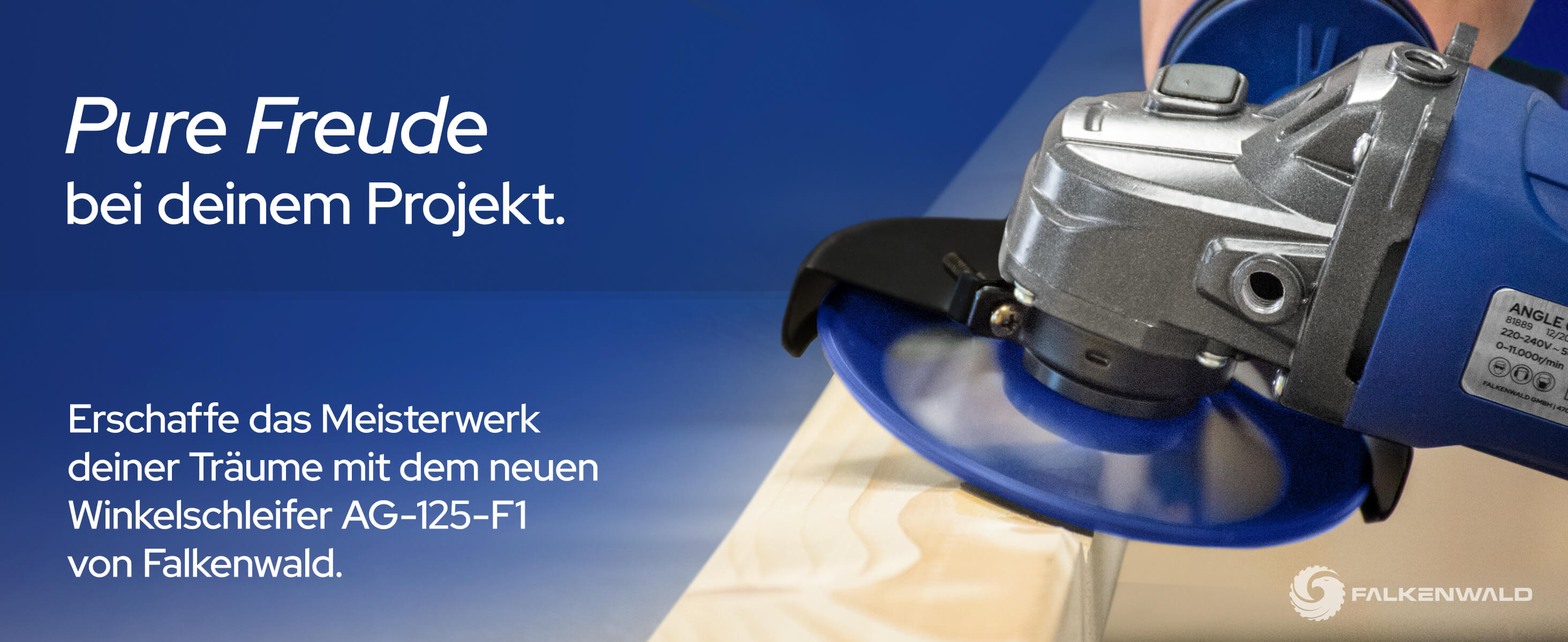 Falkenwald Winkelschleifer - AG 125 – Falkenwald GmbH